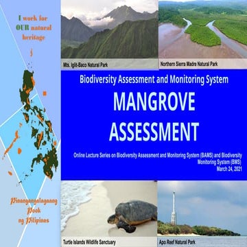 Mangrove Assessment Methods In The Philippines Pptx