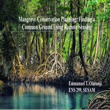 Mangrove conservation planning using remote sensing | PPTX