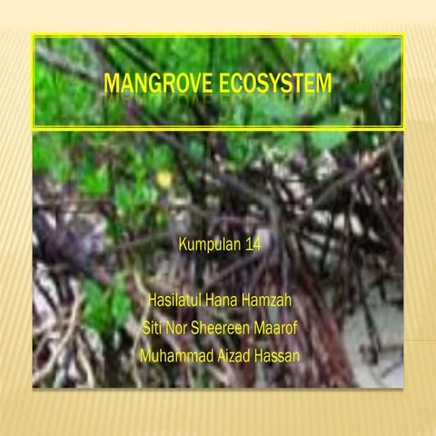 Mangrove ecosystem | PDF