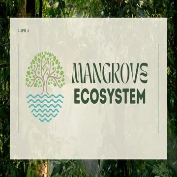 Biology Form 5: Chapter 9 (Ecosystem) - Mangrove Ecosystem | PDF