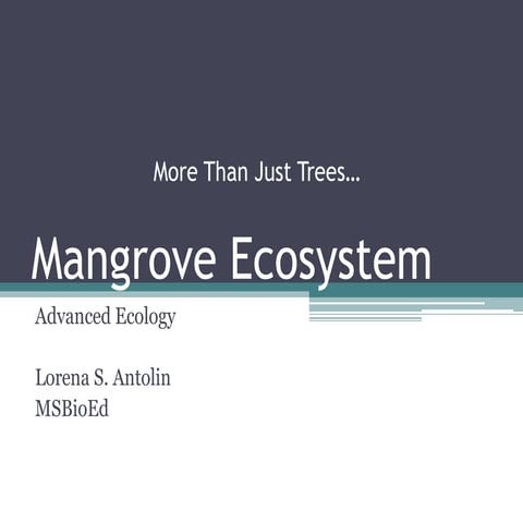 Mangrove | PPTX
