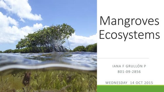 Mangroves | PPTX | Environmental Services Industry | Industries