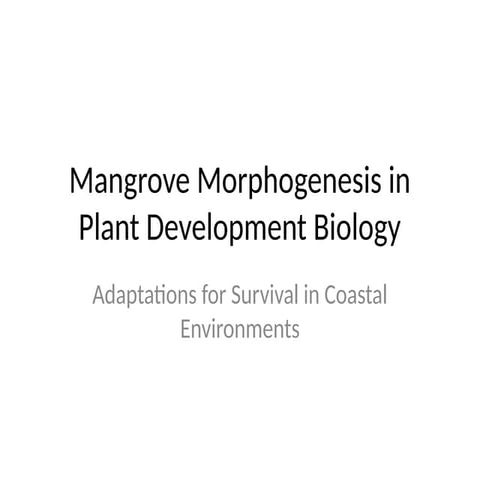CHEMICAL COMPOSITION OF THE CELL – PLANT CELL.pptx