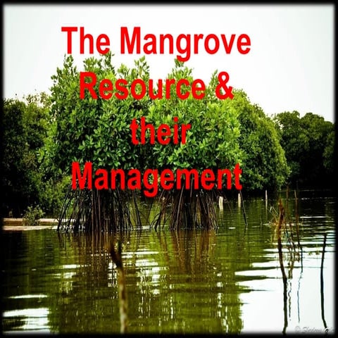 Field Guide to Phil. Mangroves.pdf