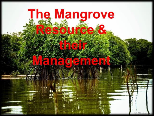 Field-Guide-on-Seagrass sampling methods.pdf