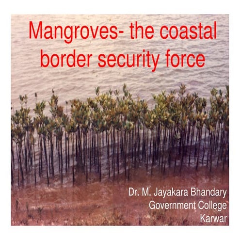 Mangroves | PDF