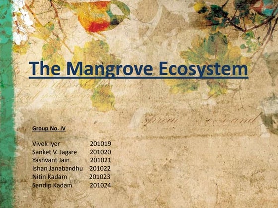Mangrove ppt slides | PPT