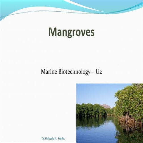 Mangroves | PPT
