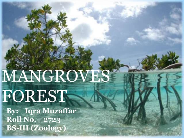 Science6 Q2 week 9 Day 2- Rainforest,Coral Reef and Mangrove swamp (1).pptx
