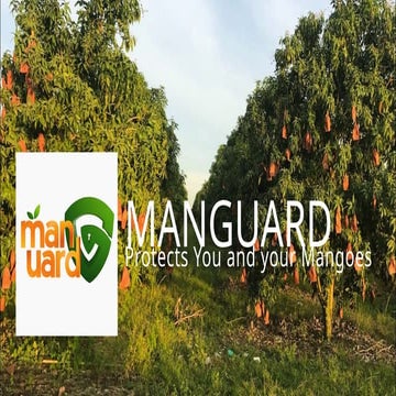 Manguard_presentation for everybody .pptx