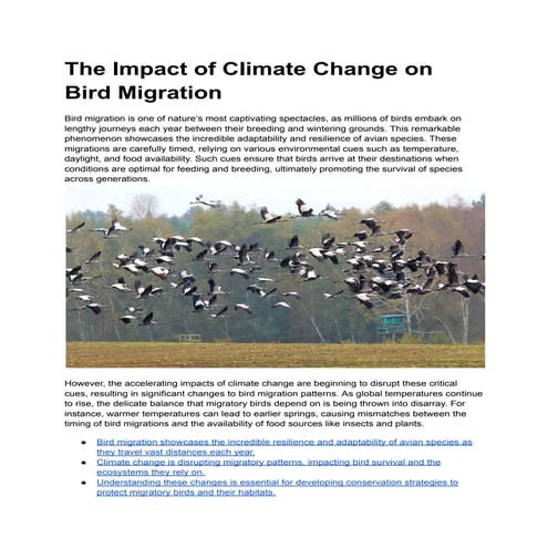 The Impact of Climate Change on Bird Migration | PDF