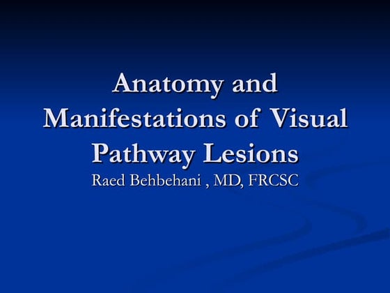 Visual pathway | PPTX | Eye and Vision Conditions | Diseases and Conditions