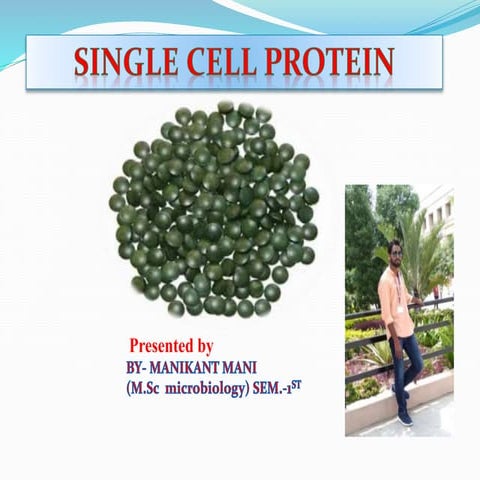 single cell proteins (SCP) | PPT