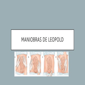 Maniobras de leopold | PPTX