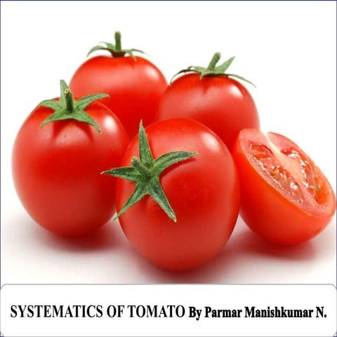 Systematics of tomato | PPT