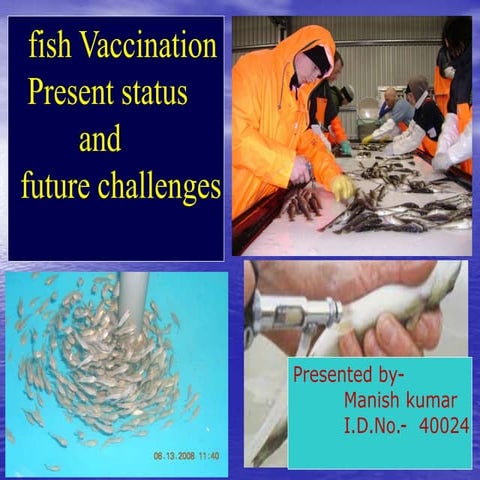 vaccination in fish | PPTX