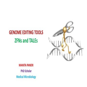 Genome Editing Tool ZFNs and TALEs | PPTX