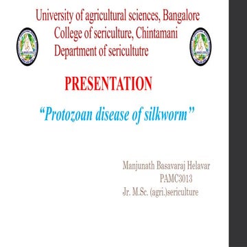 Pebrine disease in silkworm. Mulberry crop | PPTX