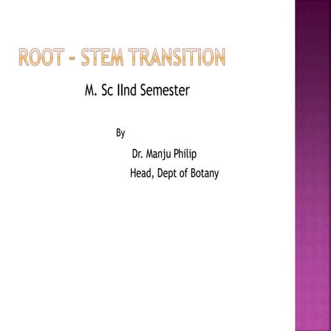 Root stem transition. hvyvjfhjmilip if UC h | PPTX