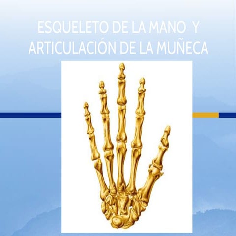 anatomia de la mano | PPTX