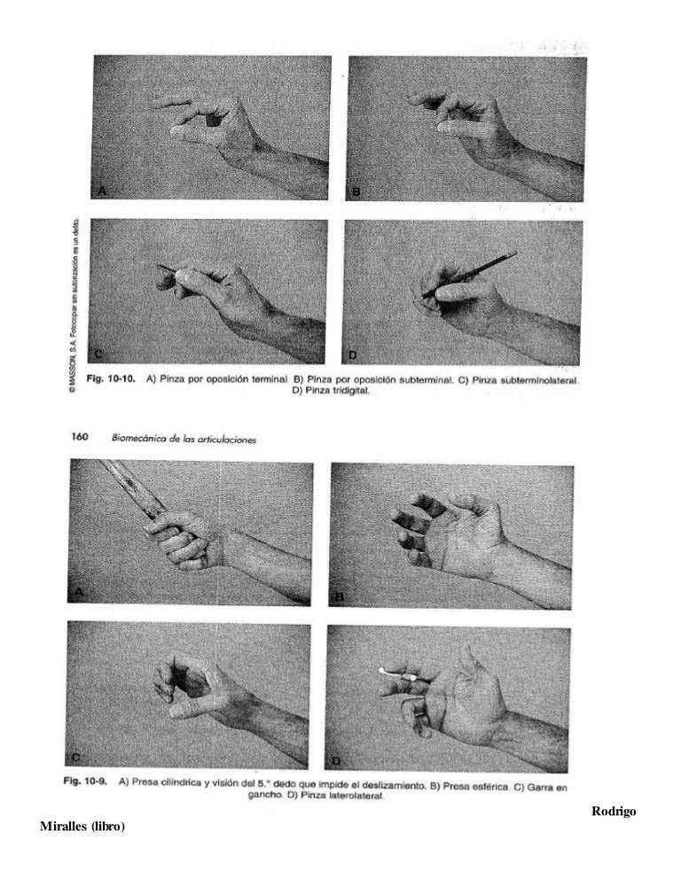 Mano prensión y pinzas.
