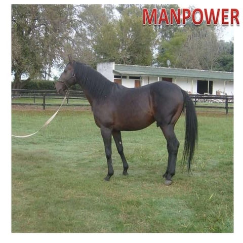 MANPOWER | PPTX