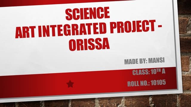 Art integrated project-1.pptx