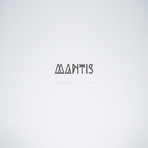 Mantis | PDF | Technology & Computing