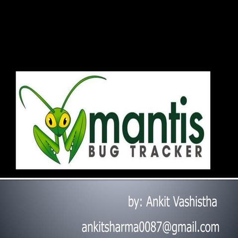 Setting up MantisBT | PPT