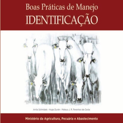Manual de Identificação de Gado de Corte | PDF