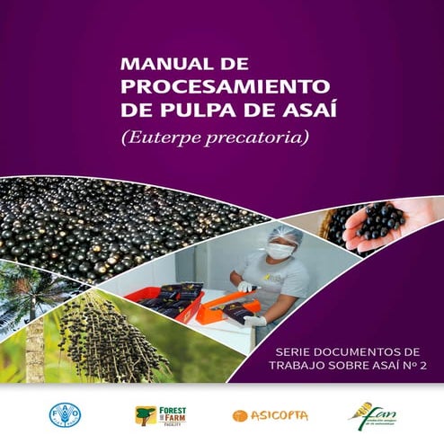Manual de procesamiento de pulpa de asaí (Euterpe precatoria) | PDF