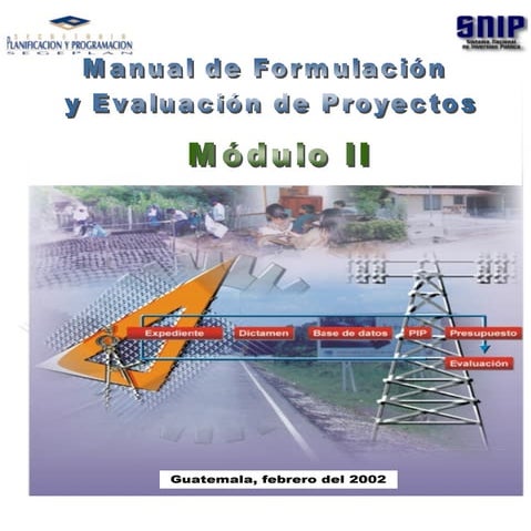 Manual de Formulación y Evaluación de Proyectos.pdf