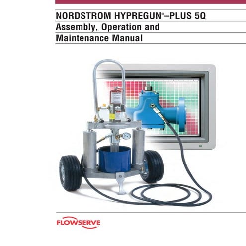 NORDSTROM HYPREGUN®–PLUS 5Q | PDF