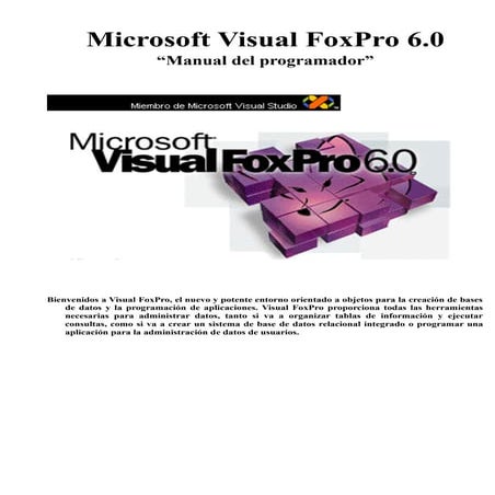Manual del programador_vfp6 | DOC