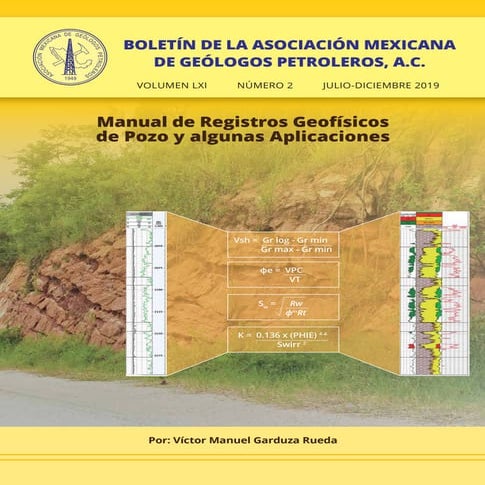 Manual de registros_geofisicos-1 | PDF