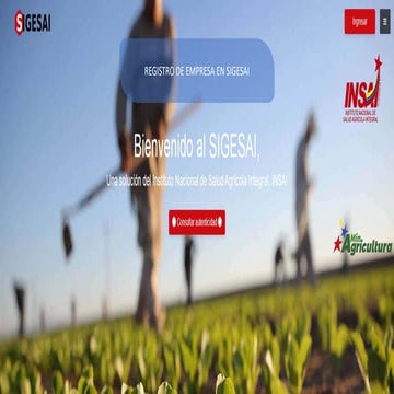 MANUAL DE REGISTRO SIGESAI.pdf