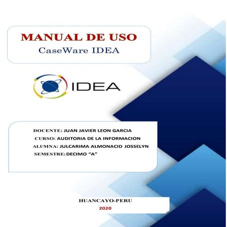 Manual de uso de Case Ware IDEA | DOCX