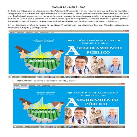 Manual de usuario siap | PDF