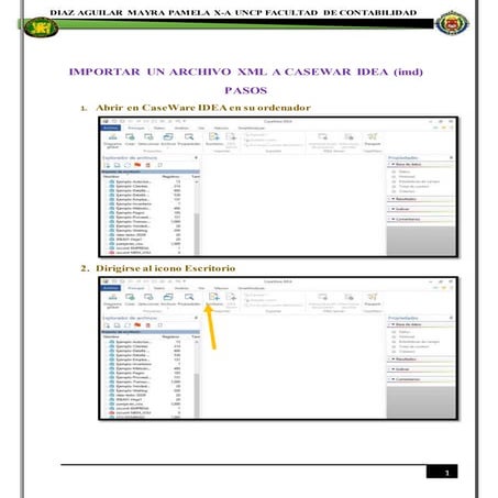 Manual de uso del software IDEA | DOCX