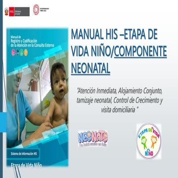 PPT HIS PROMSA - PANAS-MINSA DEL 2024.pptx