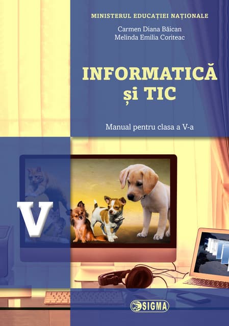 Purtatori de informatie, proiect ppt pentru ora de informatica | PPT