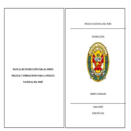 MANUAL INSTRUCCION NUEVO.pdf