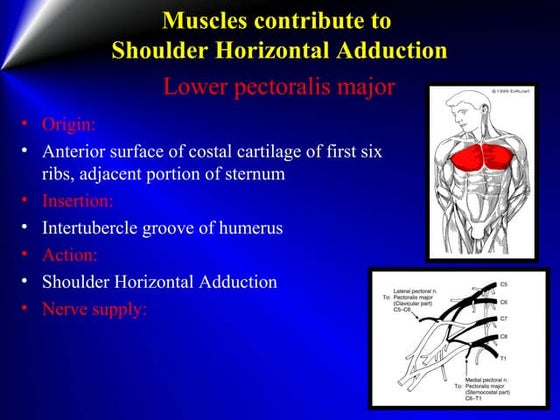 shoulder joint mobilization.pdf