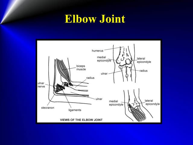 Bio-mechanics of the Elbow Joint | PPTX