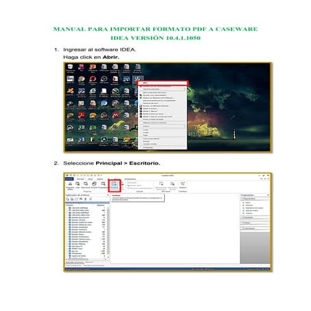 Manual para importar formato pdf a caseware idea | PDF
