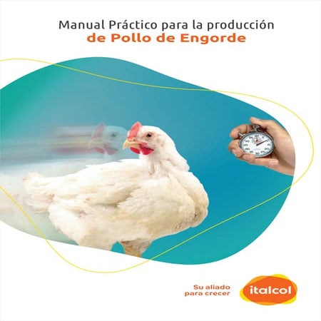 1. manual curso de pollo de engorde | PDF