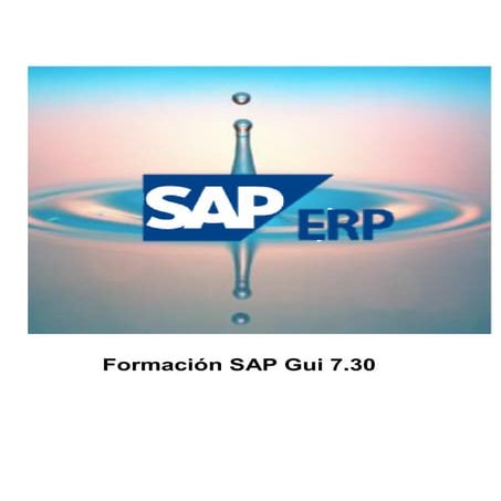 F110 pagos-automaticos-en-sap | PDF