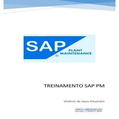 Manual sap | PDF