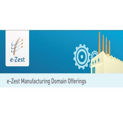 Manufacturing Domain | PPTX