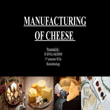 Cheese Production Process | PPTX